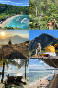 The Ultimate Guide to the Best Things to Do in Canggu, Bali - The ...